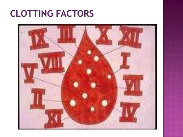 Clotting factors | PPTX