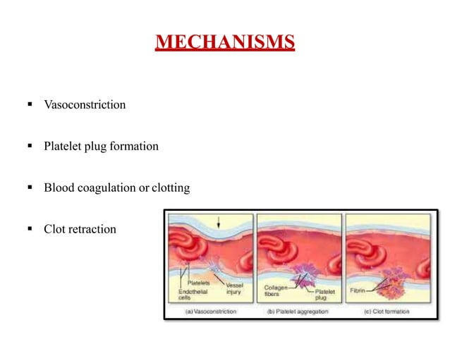 clottingfactors-160317182528-converted.pptx