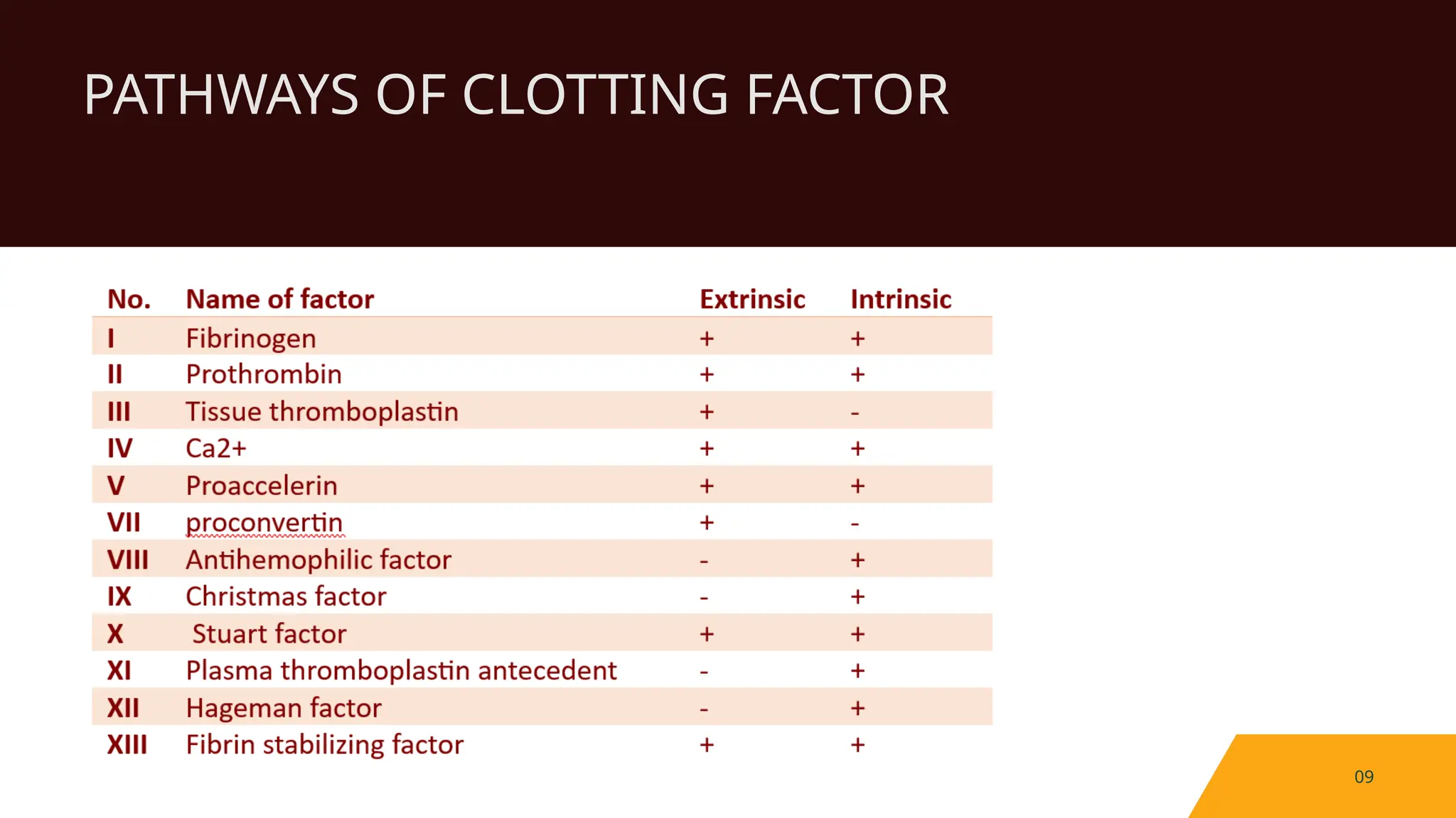 clotting factors clotting mechanism pathways and methods of ...