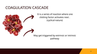 clotting factors clotting mechanism pathways and methods of ...