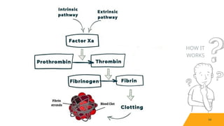 clotting factors clotting mechanism pathways and methods of ...