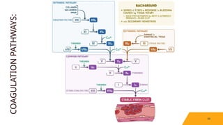 clotting factors clotting mechanism pathways and methods of ...