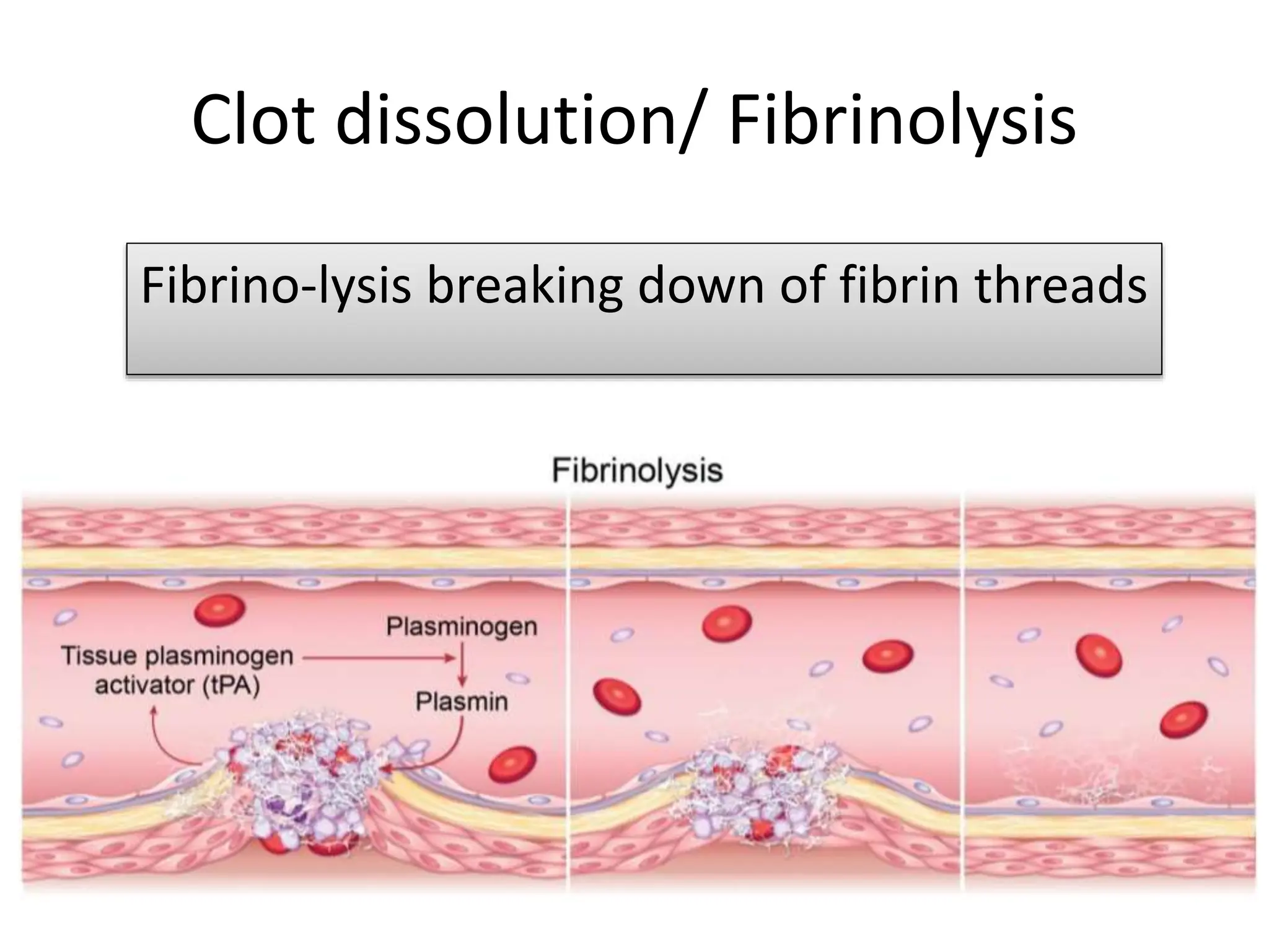 Blood Physiology Clotting mechanism (2).pptx