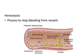 Blood Physiology Clotting mechanism (2).pptx