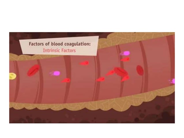Blood Physiology Clotting mechanism (2).pptx