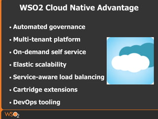 Cloud Native PaaS Advantage | PDF