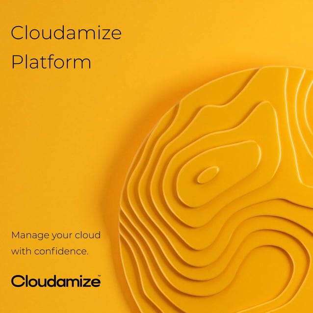 Cloudamize Overview | PDF