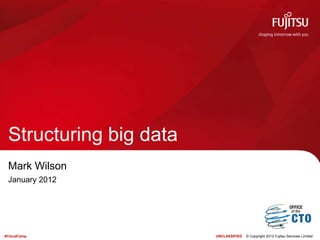 Structuring Big Data | PPTX | Databases | Computer Software and Applications