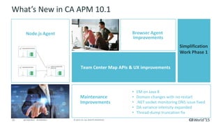Technology Primer: Monitor Microservices, Containers, Cloud Foundry and Node with CA Application ...