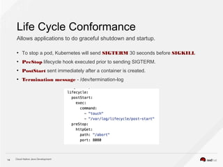 Cloud Native Java Development Patterns | ODP