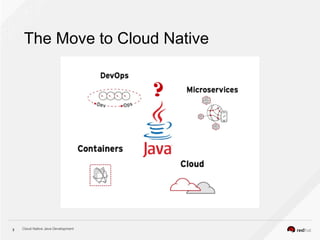 Cloud Native Java Development Patterns | ODP