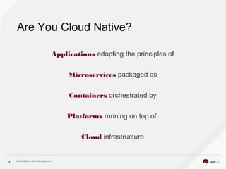 Cloud Native Java Development Patterns | ODP