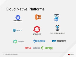 Cloud Native Java Development Patterns | ODP