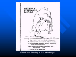 Cloud seed | PPT