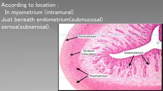 slides Histopathology | PPTX