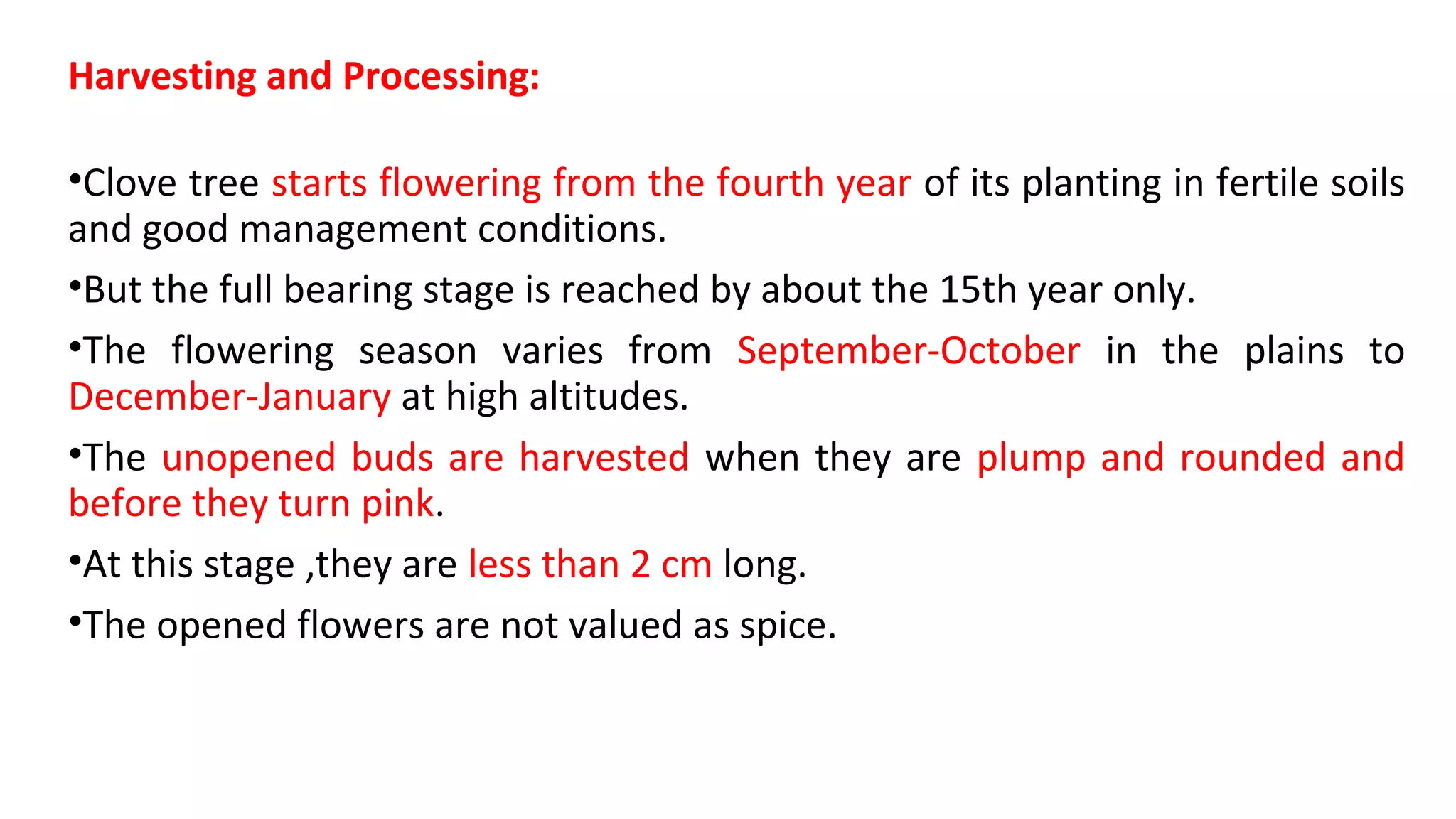 Clove | PPT