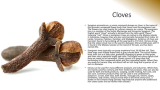 Clove class | PPT