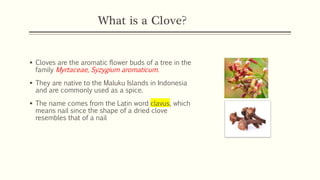 Clove is a versatile spice and medicine | PDF