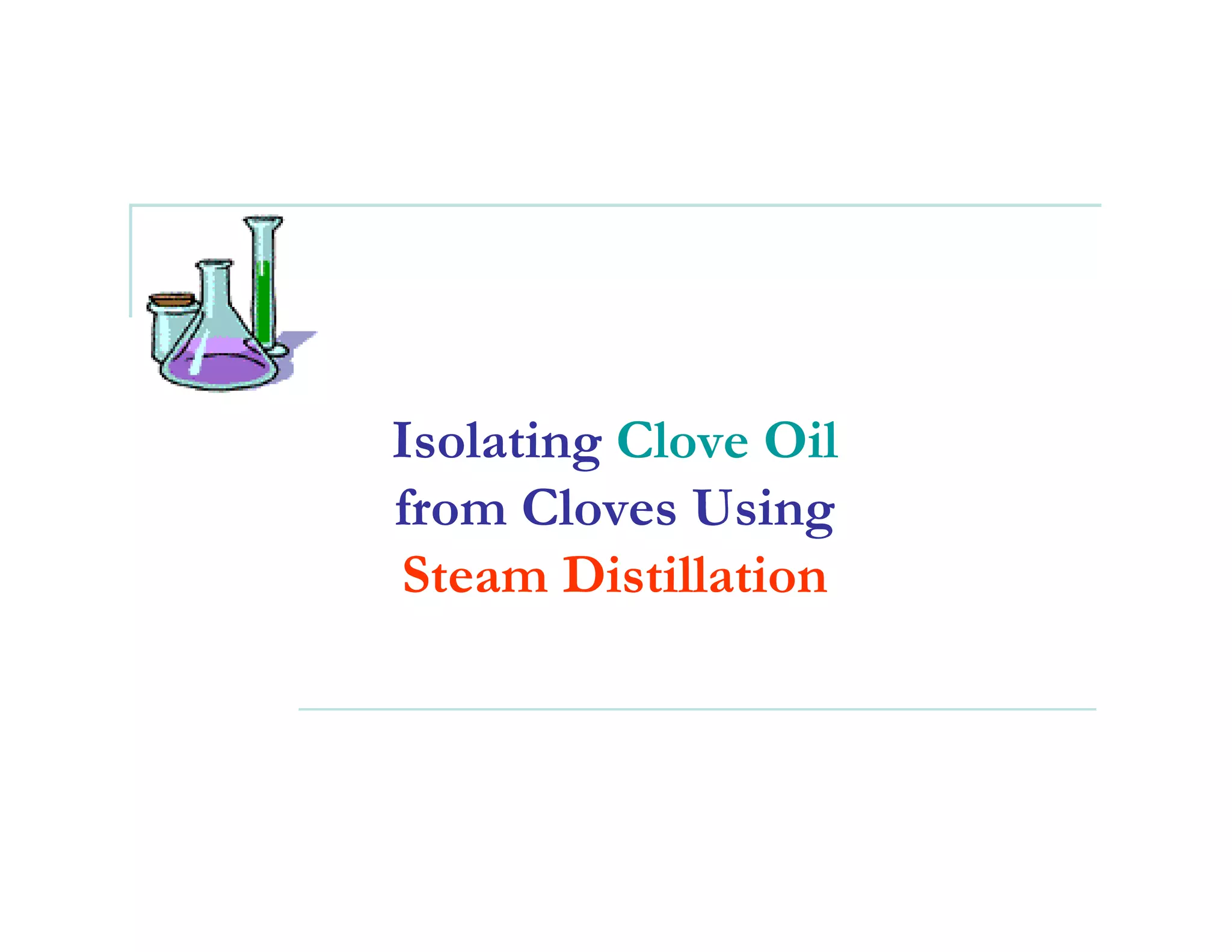 Clove Oil Steam Distillation | PDF