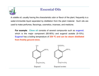 Clove Oil Steam Distillation | PDF