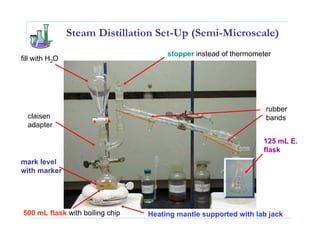 Clove Oil Steam Distillation | PDF