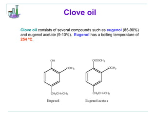Clove Oil Steam Distillation Spring 09 | PPT