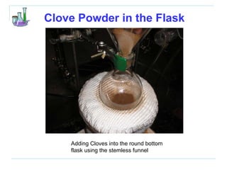 Clove Oil Steam Distillation Spring 09 | PPT