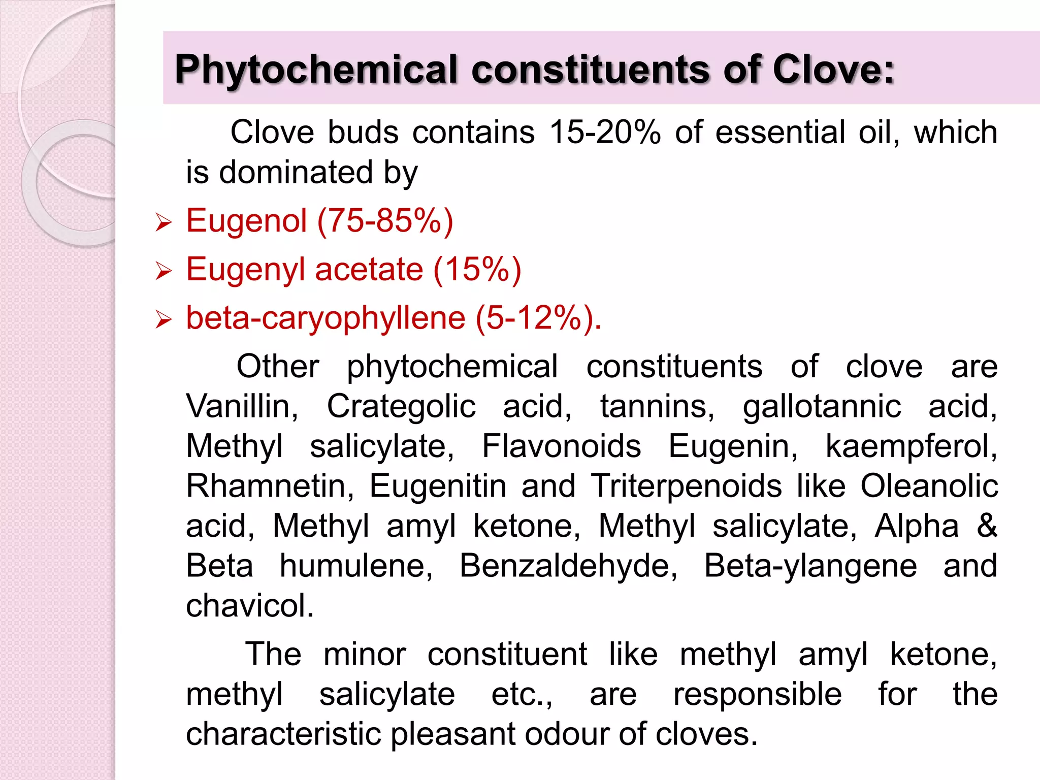 Clove medicinal uses | PPTX
