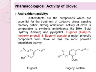 Clove medicinal uses | PPTX