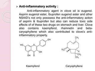 Clove medicinal uses | PPTX
