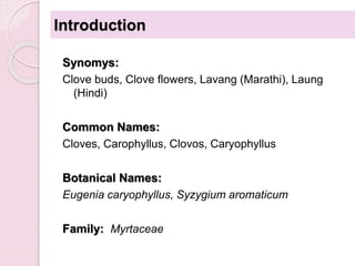 Clove medicinal uses | PPTX