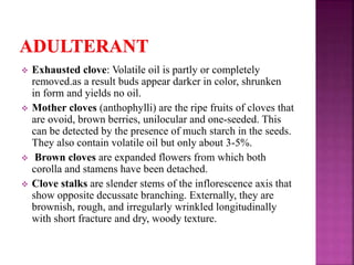 Clove presentation | PPTX