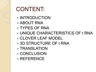 Clover leaf (1) | PPTX