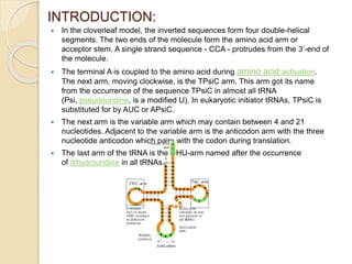 Clover leaf (1) | PPTX
