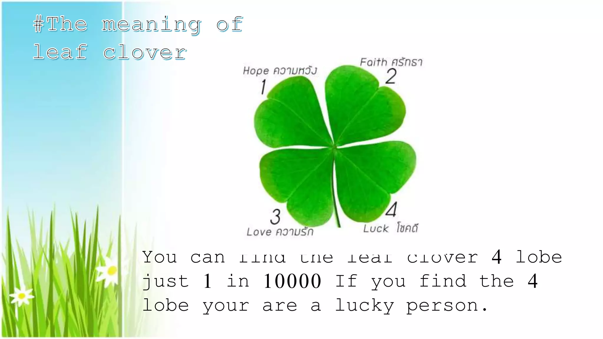 What is leaf clovers? | PPTX