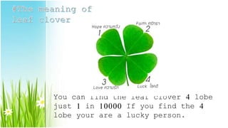 What is leaf clovers? | PPTX