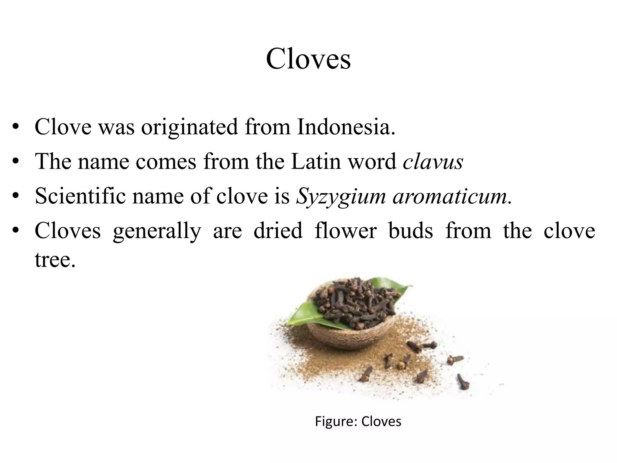 Cloves and its medicinal benefits | PPTX