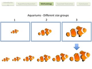 Clownfish | PPTX