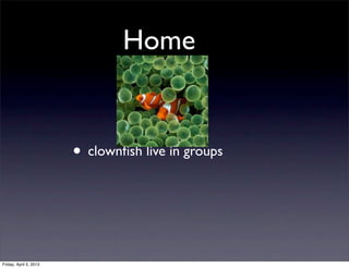 Clownfish | PPT