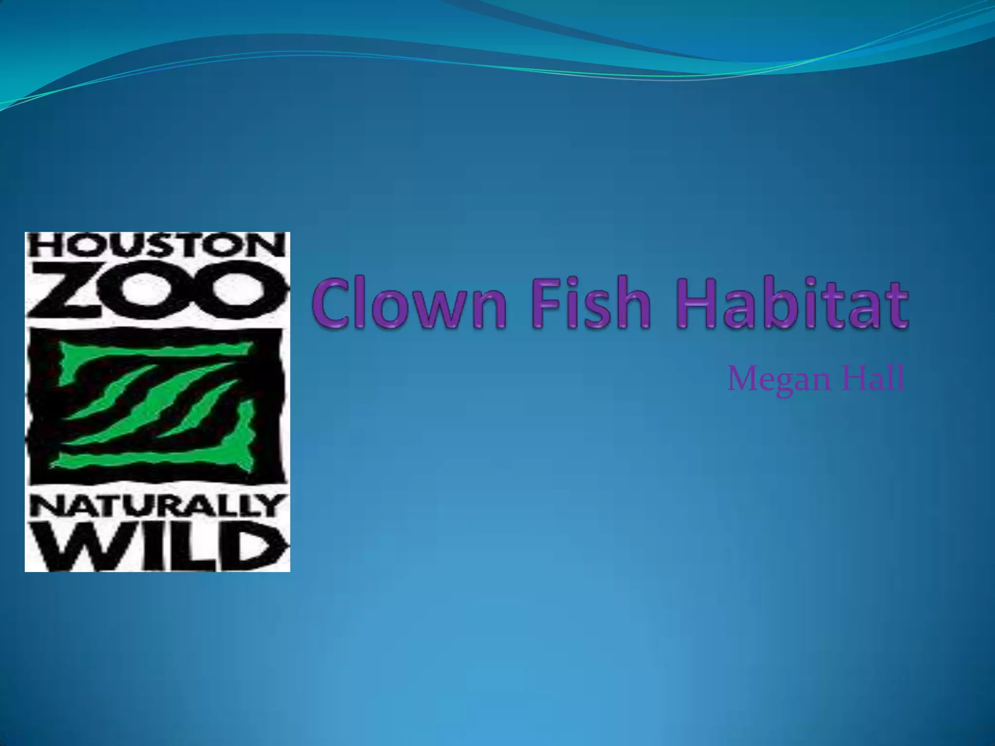 Clown fish habitat | PPTX
