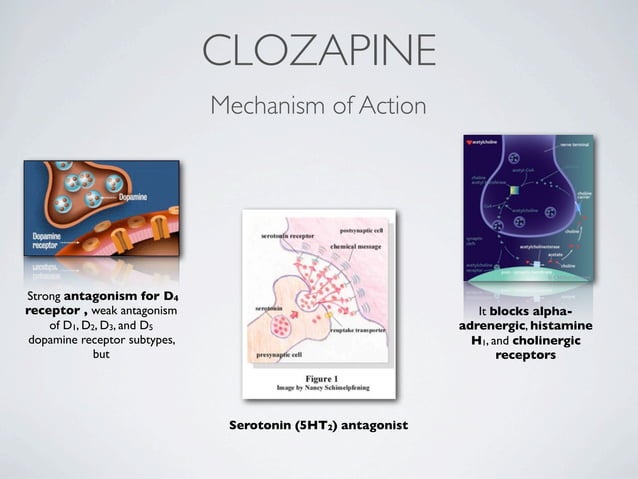 Clozapine | KEY | Brain and Nervous System Disorders | Diseases and ...