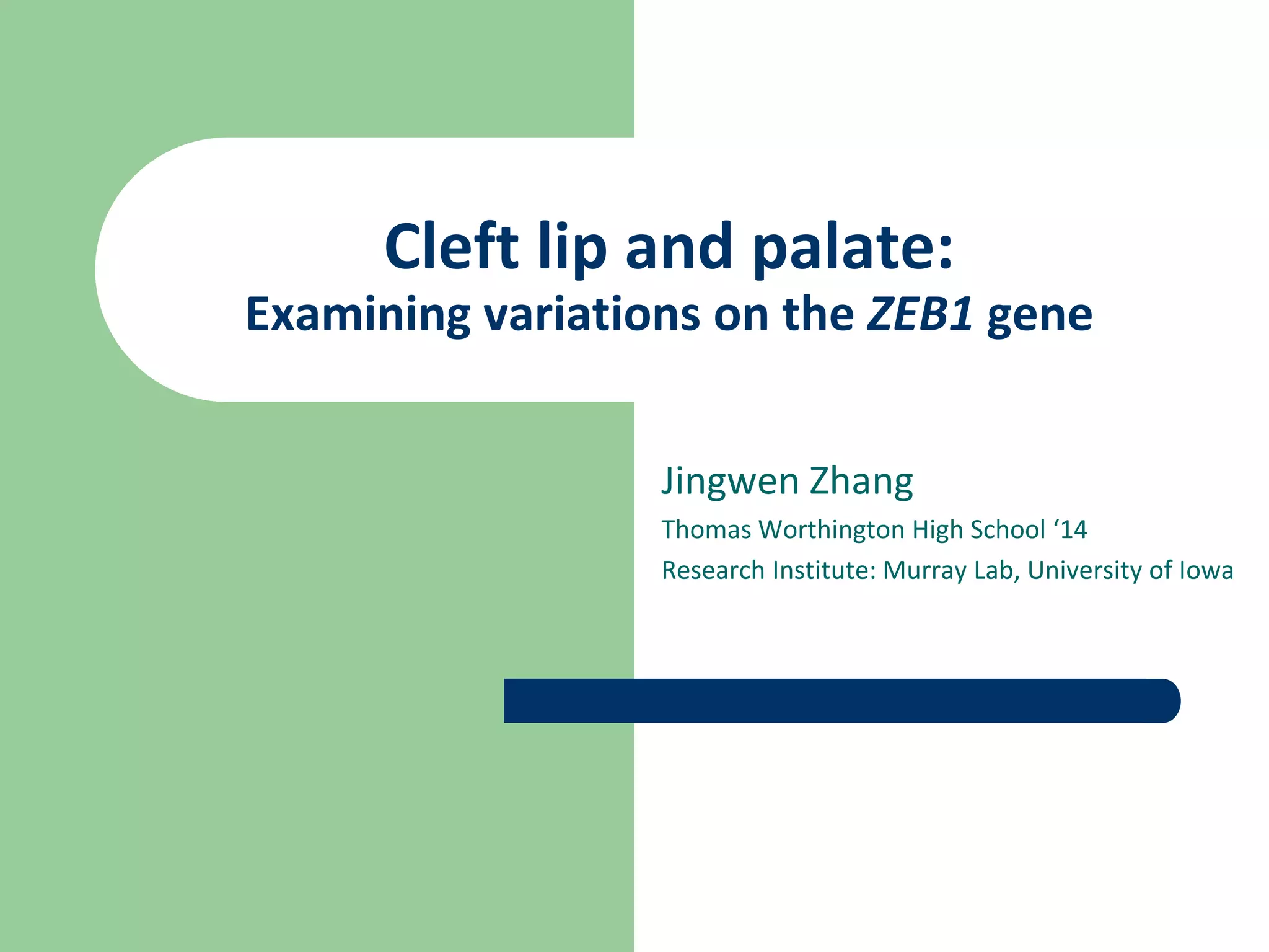 Cleft lip and palate: Examining variations on ZEB1 gene | PPTX