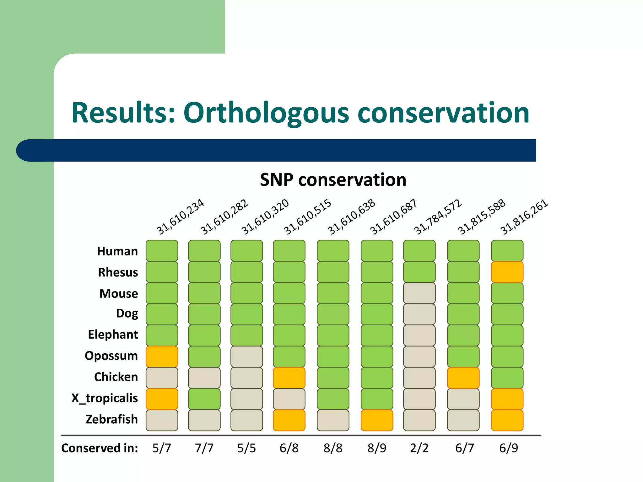 Cleft lip and palate: Examining variations on ZEB1 gene | PPTX