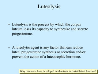 Mechanism controlling Corpus Luteum regressions | PPT
