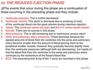 Cardiac cycle | PPT