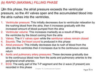 Cardiac cycle | PPT