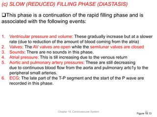 Cardiac cycle | PPT