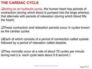 Cardiac cycle | PPT
