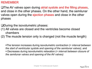 Cardiac cycle | PPT