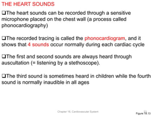 Cardiac cycle | PPT